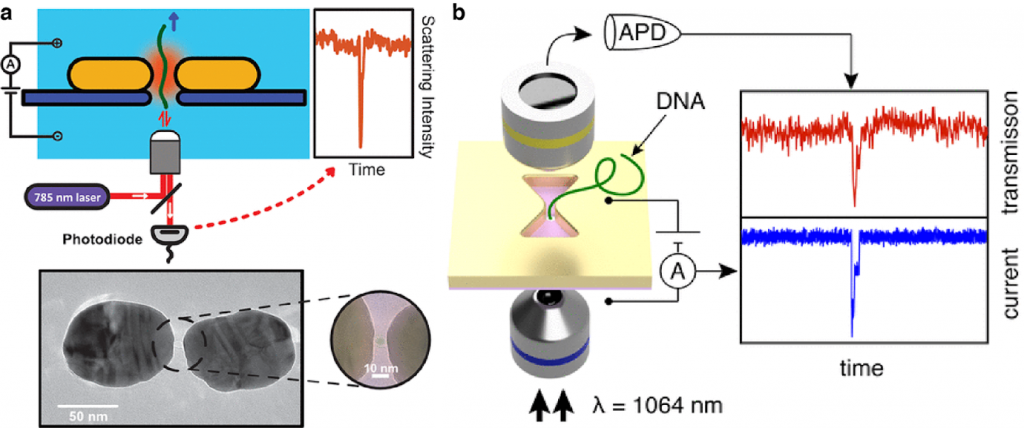 Optical nanopores - Cees Dekker Lab